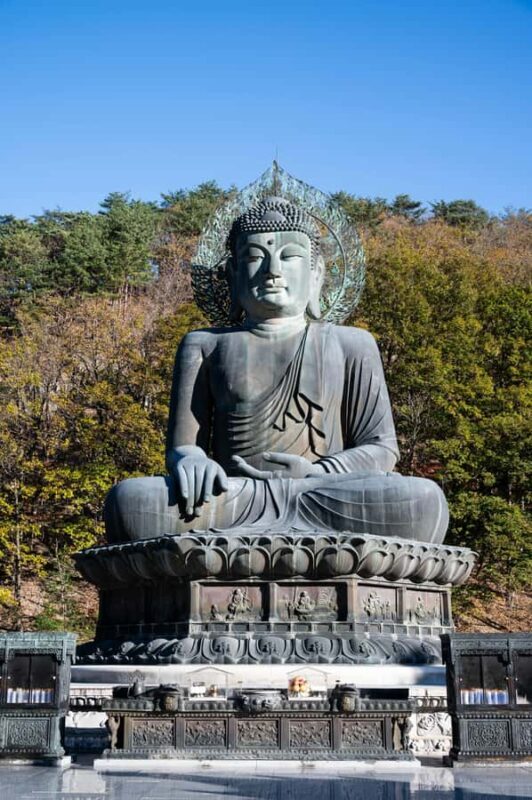 Kamakura: Great Buddha, Enoshima, and Yokohama Private tour - An In-Depth Look at the Experience