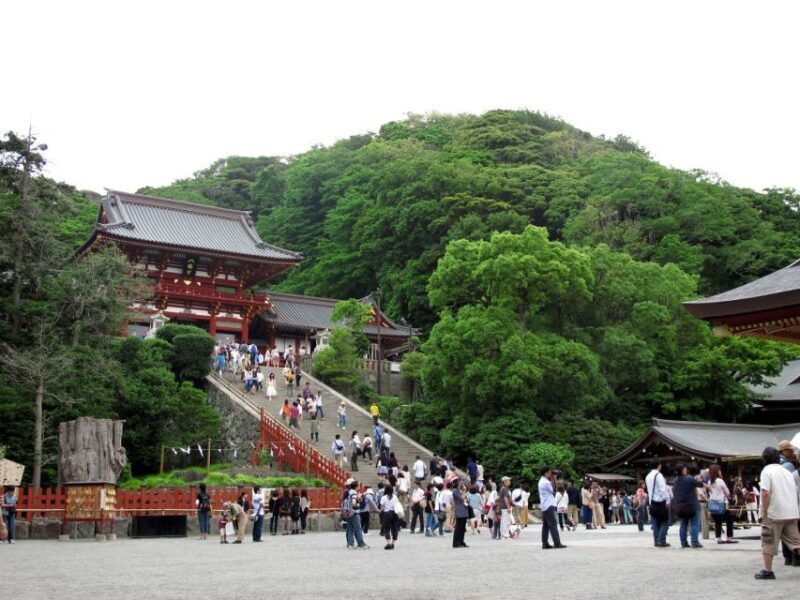 Kamakura: Great Buddha, Hase Temple, & Komachi Street Tour - Who Should Consider This Tour?