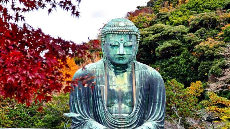 Kamakura: Great Buddha Hike, Hidden Shrines & Zen Temples - Discovering Kamakura: A Journey Through Nature and Spirit