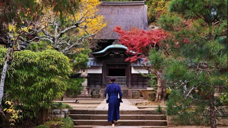 Kamakura: Great Buddha Hike, Hidden Shrines & Zen Temples - The Sum Up