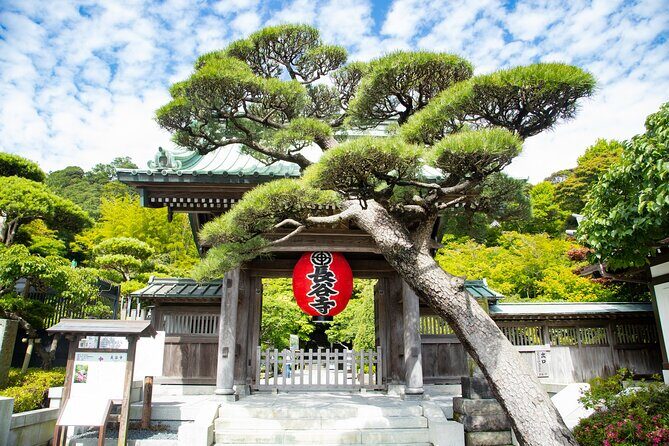 Kamakura Great Buddha, Temple, Shrine Private Day Tour from Tokyo - Authentic Experiences & Practical Insights