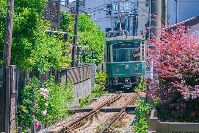 Kamakura Great Buddha, Temple, Shrine Private Day Tour from Tokyo - Who Should Consider This Tour?