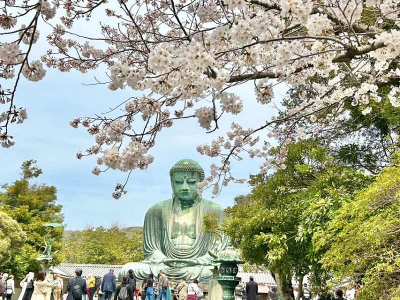 Kamakura: Half day Walking tour & Japanese sweets - The Cost and Its Value