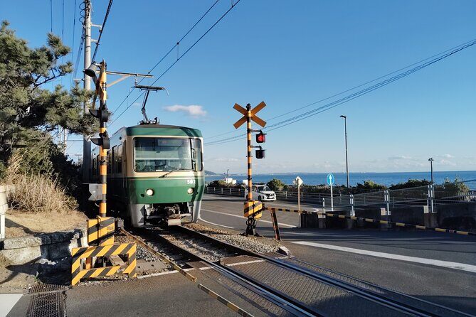 Kamakura Highlights Great Buddha Shrine and Scenic Enoden Ride - Exploring Kamakura in 2.5 Hours: What to Expect