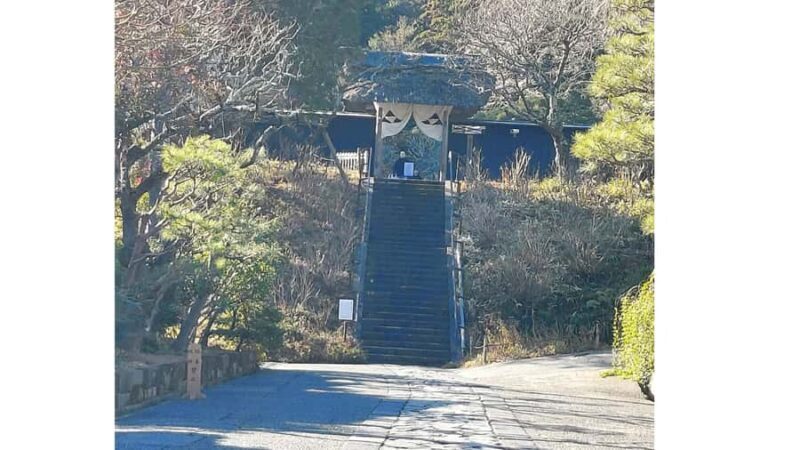 Kamakura, Japan: Half-day walking tour of Zen temples and the Great Buddha Spanish guide - The Value of This Tour