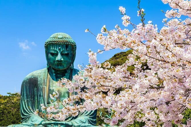 Kamakura Kotoku-in Temple and Enoshima Day Tour from Tokyo - Key Points