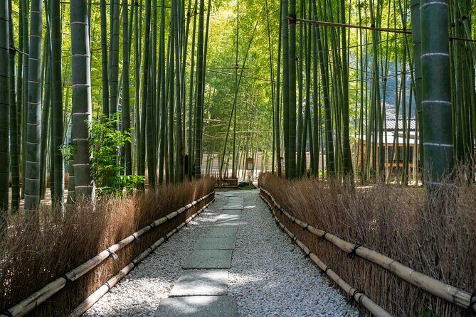 Kamakura Old Capital E-Bike Tour - Discovering Kamakura on Two Wheels