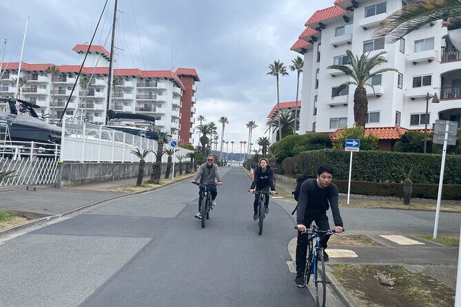 Kamakura Old Capital E-Bike Tour - Who Will Love This Tour?