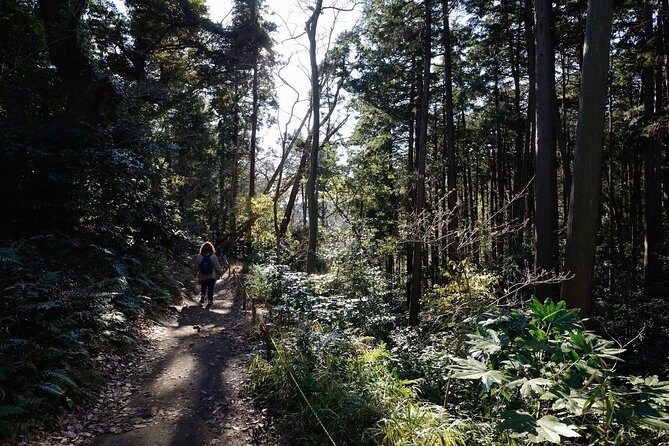 Kamakura One Day Hike Tour with Government-Licensed Guide - Why Choose the Kamakura Guided Hike?