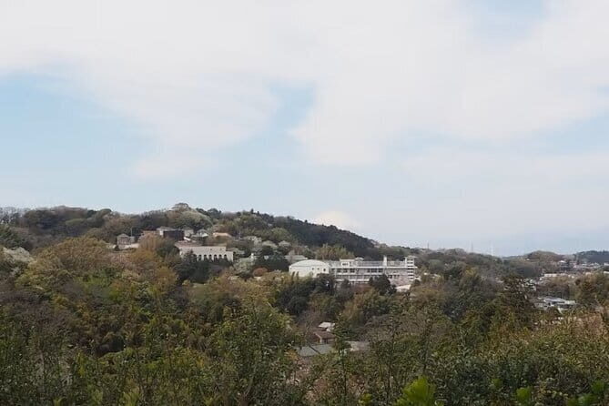 Kamakura Private Cultural and Historical Hiking Tour - Experiencing Money Laundering at Zeniarai Benten Shrine