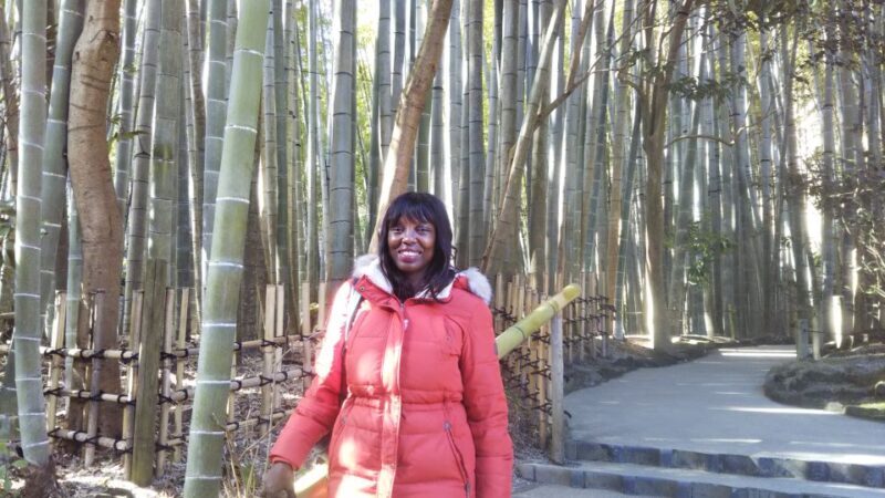 Kamakura: Private Guided Walking Tour with Local Guide - FAQ
