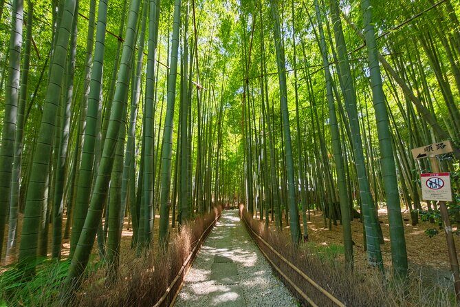 Kamakura Samurai Legends Shrines and the Great Buddha - Final Thoughts