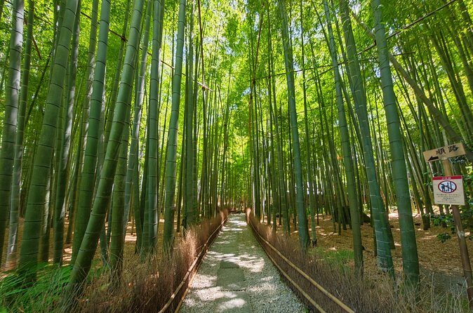 Kamakura Samurai Legends Shrines and the Great Buddha - Frequently Asked Questions