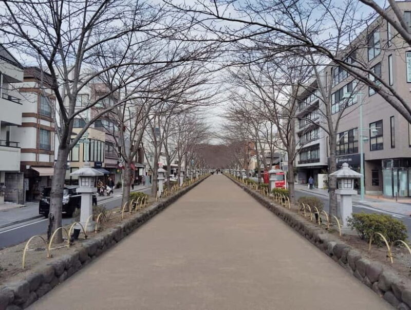 Kamakura: Tsurugaoka Hachimangu & Komachi Street Tour - Who Should Consider This Tour?