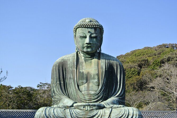 Kamakura Vibes & Enoshima Sights Day Tour - Why Choose the Kamakura & Enoshima Private Day Tour?