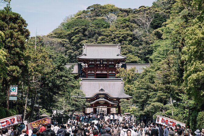 Kamakura Vibes & Enoshima Sights Day Tour - Authentic Experiences and Traveler Insights