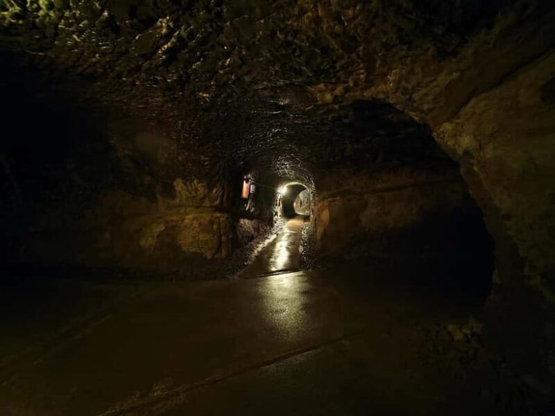 Kamakura Zen: Great Buddha, Nature, Bamboo & Samurai Culture - Kamakura Zen: Great Buddha, Nature, Bamboo & Samurai Culture – A Detailed Review