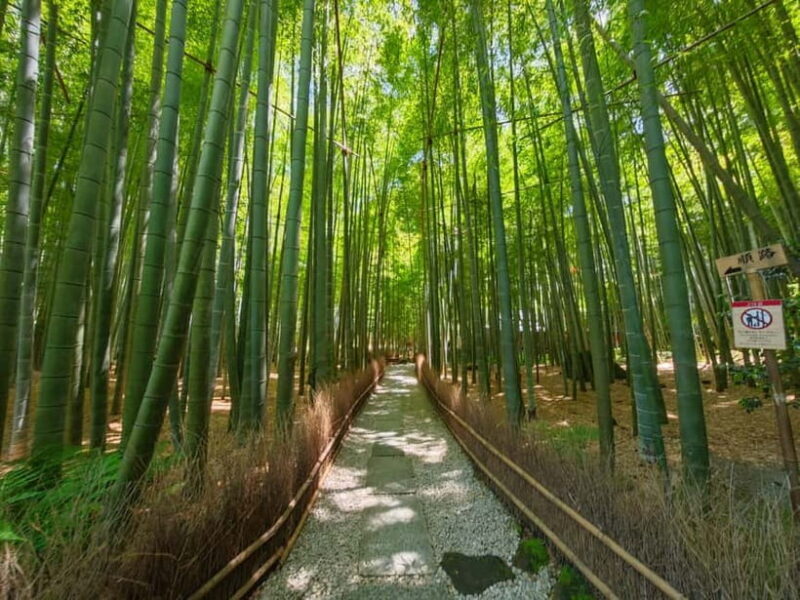 Kamakura Zen: Great Buddha, Nature, Bamboo & Samurai Culture - Exploring Kamakura’s Cultural Treasures
