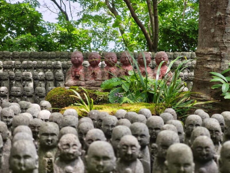 Kamakura Zen: Great Buddha, Nature, Bamboo & Samurai Culture - Practical Details and Value