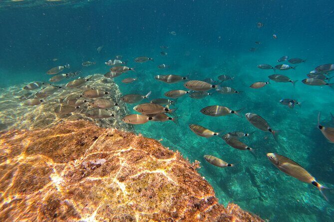 Kamenjak Nature Park: Kayak Tour with Snorkeling & Cave Exploring - FAQ