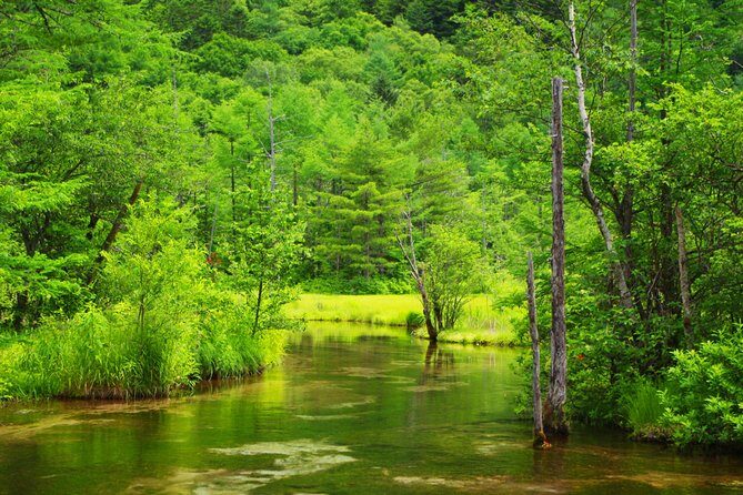 Kamikochi Mountain Day Trip from Tokyo - Who Will Love This Tour?