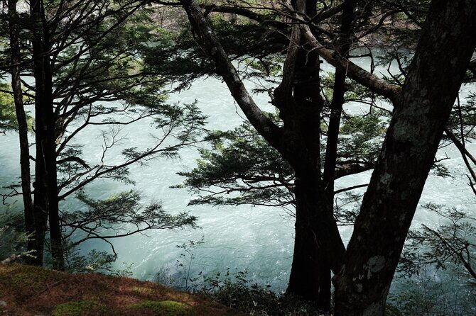 Kamikochi Private Summer Escape: Meet Wildlife in Pristine Nature - Practical Details and Logistics