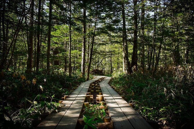 Kamikochi Private Summer Escape: Meet Wildlife in Pristine Nature - Who is This Tour Best For?