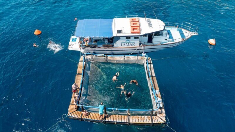 Kamiros Skala : Marine Life Experience & Alimia Island - Practical Details & Tips