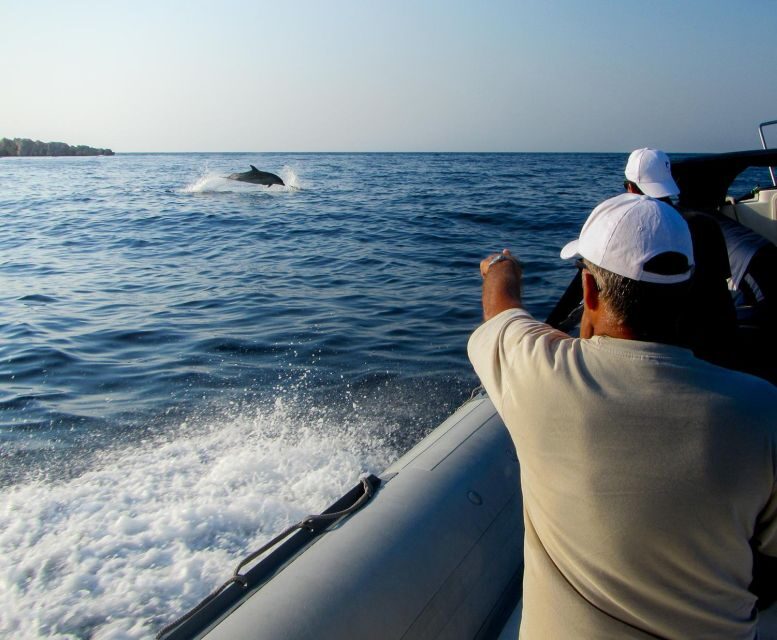 Kamiros Skala: Marine Life Experience by Boat - An In-Depth Look at the Marine Life Experience