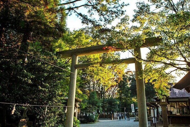 Kamishikimi Kumanoza Shrine, Amano Iwato Shrine & Takachiho Gorge - Transportation and Timing: Smooth and Stress-Free