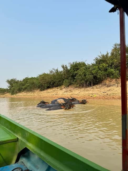 Kampong Phluk Floating Village & Tonle Sap Boat Tour. - Key Points