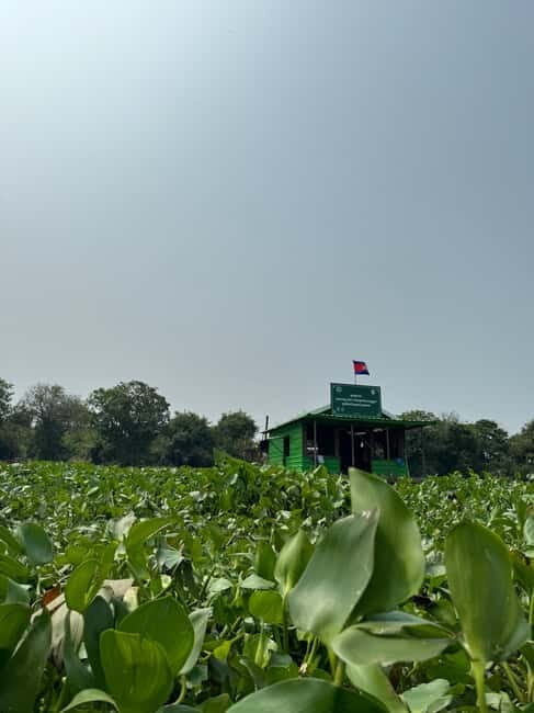 Kampong Phluk Floating Village & Tonle Sap Boat Tour. - Real Experiences and Perspectives