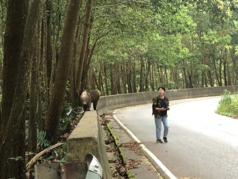 Kampot: Bokor Mountain Tour with locals - FAQ: Your Practical Questions Answered