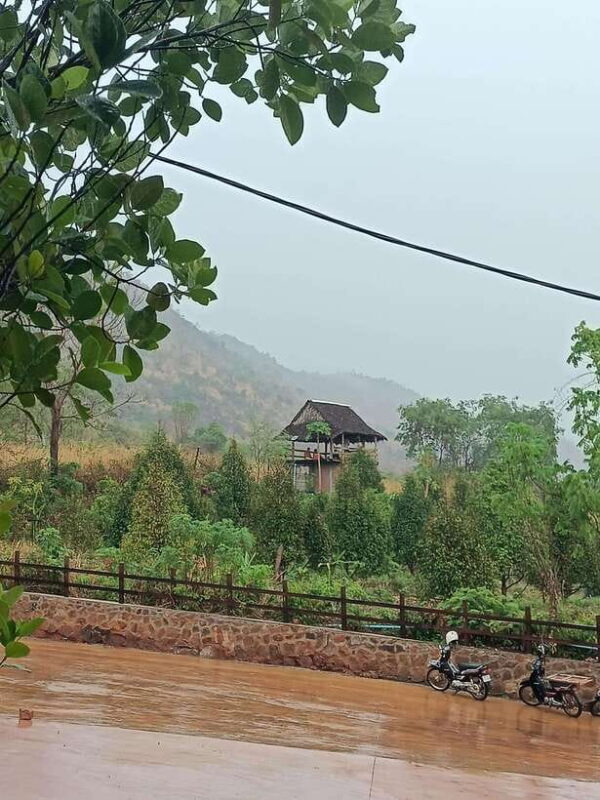 Kampot: Full-day Countryside Tour with Pepper Farm and Kep - Key Points