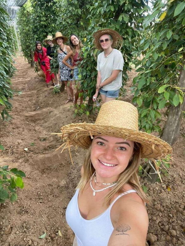 Kampot, Kep, Paper Farm, Old French Architectures - Authenticity and Value