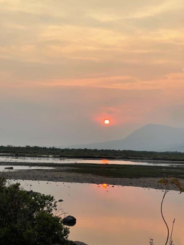 Kampot: Lotus Pond, Wat Traeuy Kaoh, and Coconut Beach Tour - Key Points