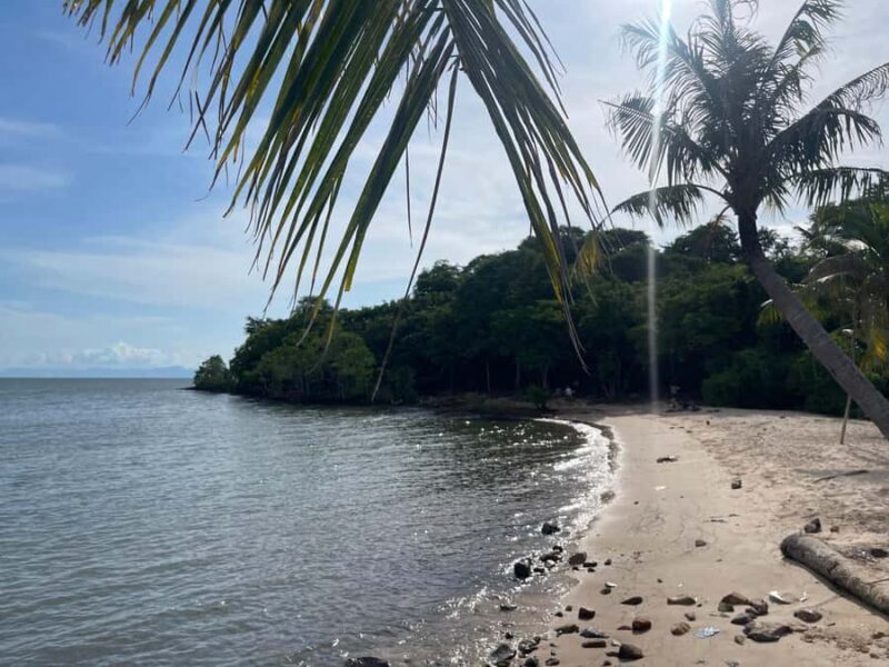 Kampot: Lotus Pond, Wat Traeuy Kaoh, and Coconut Beach Tour - Final Thoughts