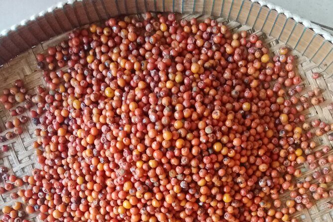 KAMPOT- Pepper farm .Cave . Secret Lake & salt fields - An In-depth Look at the Kampot Countryside Tour