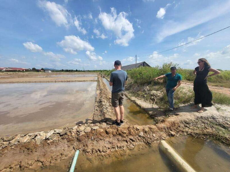 Kampot Pepper Farm, Salt Fields, Cave from Sihanoukville - Practical Details and What You Need to Know