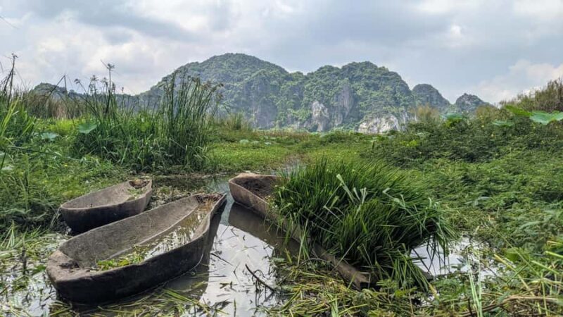 Kampot: Pepper Farms and Limestone Hills Tuk-Tuk Tour - Why This Tour Is Special