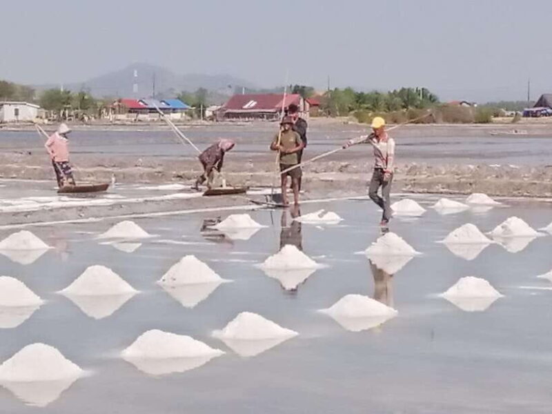 Kampot ~The County side/pepper farm/ Kep Crab market - Frequently Asked Questions