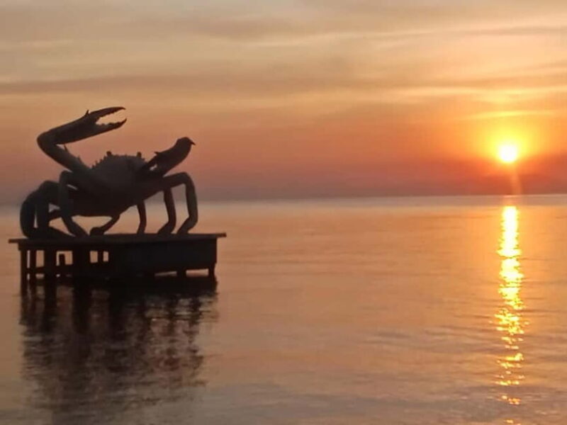 KAMPOT~ the kayak tour/pepper testing/Sunset on time & more - FAQs