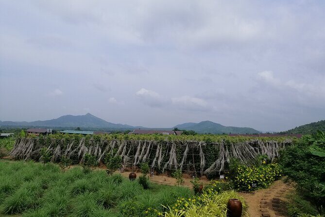 Kampot Tour Pepper Plantation, Salt Field, Cave, Secret Lake - What the Tour Means for Travelers