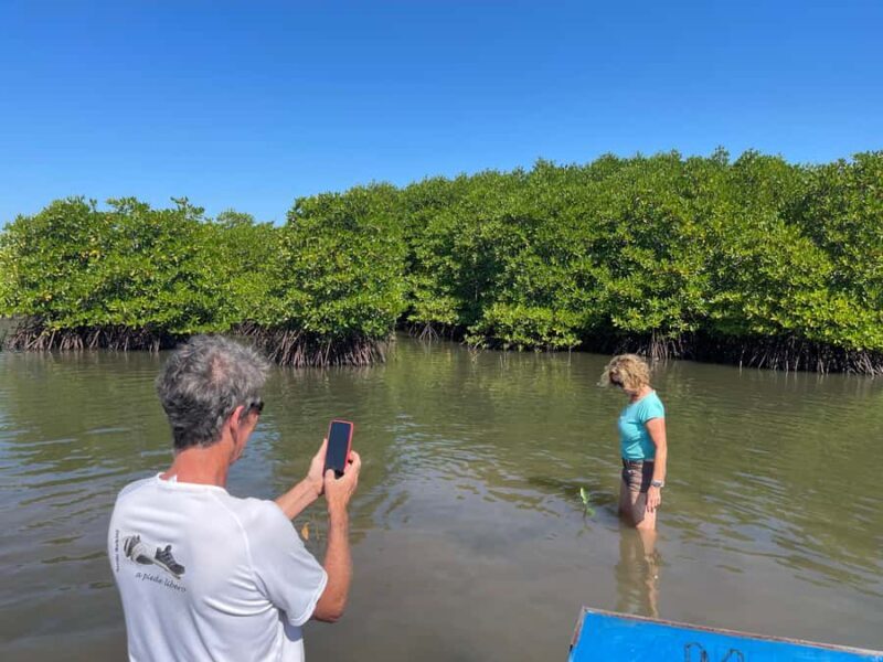 Kampot: Trapeang Sangkae Mangrove Forest Tour - Discovering Kampot’s Mangroves: What to Expect