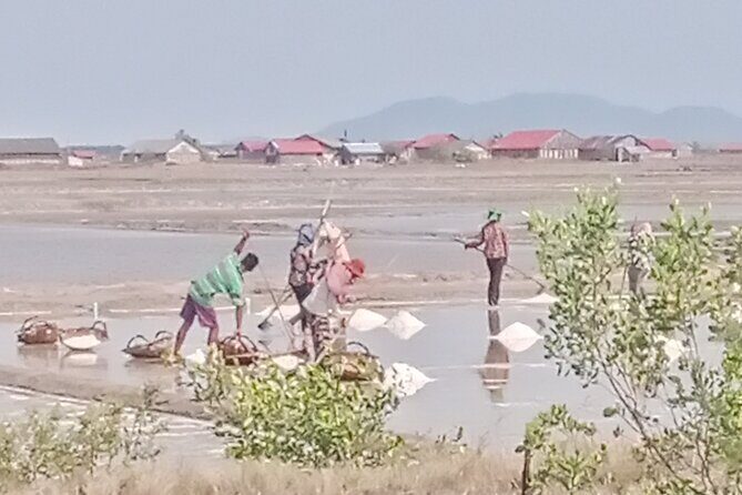 KAMPOT TRAVEL-Pepper farm. Cave.Secret lake-Crab market & Salt... - Who Will Love This Tour?