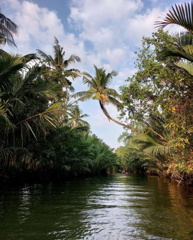 Kampot's Countryside & Kayak Tour, Pepper Farm include Lunch - The Secret Lake and Relaxation Breaks