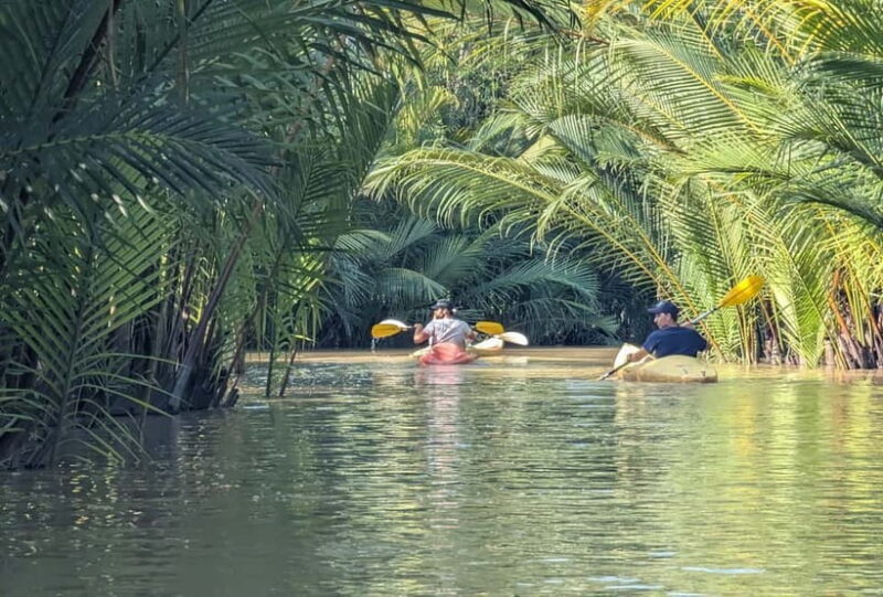 Kampot's Countryside & Kayak Tour, Pepper Farm include Lunch - Kayaking the Kampot River & Sunset Views