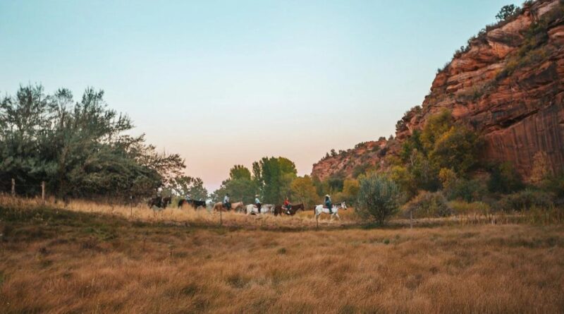 Kanab: Cave Lakes Canyon Horseback Riding Experience - Who Will Love This Experience?