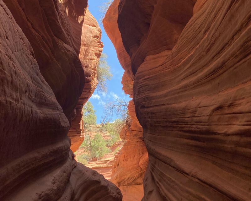 Kanab: Peek-A-Boo and Great Chamber UTV Guided Tour - Who Will Love This Tour?