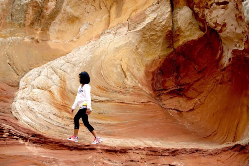 Kanab: White Pocket Hiking Tour in Vermilion Cliffs - Exploring the White Pocket Hiking Tour in Vermilion Cliffs – A Journey Worth Taking